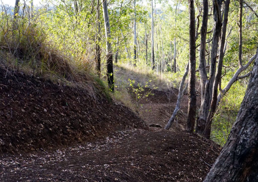 Hidden Vale - World Trail